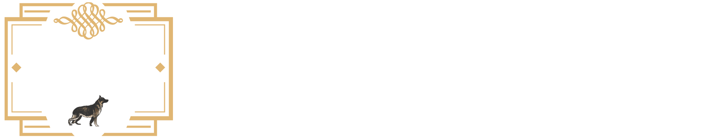 K9 Country Club | Training and Boarding